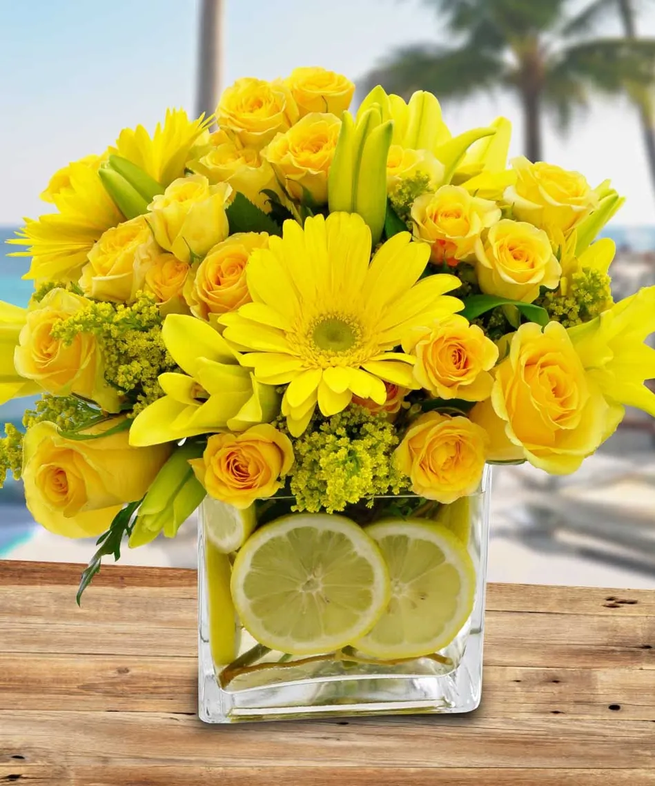Citrus Sunshine